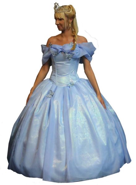 Blue Adult Cinderella Dress Princess Fancy Dress Costume
