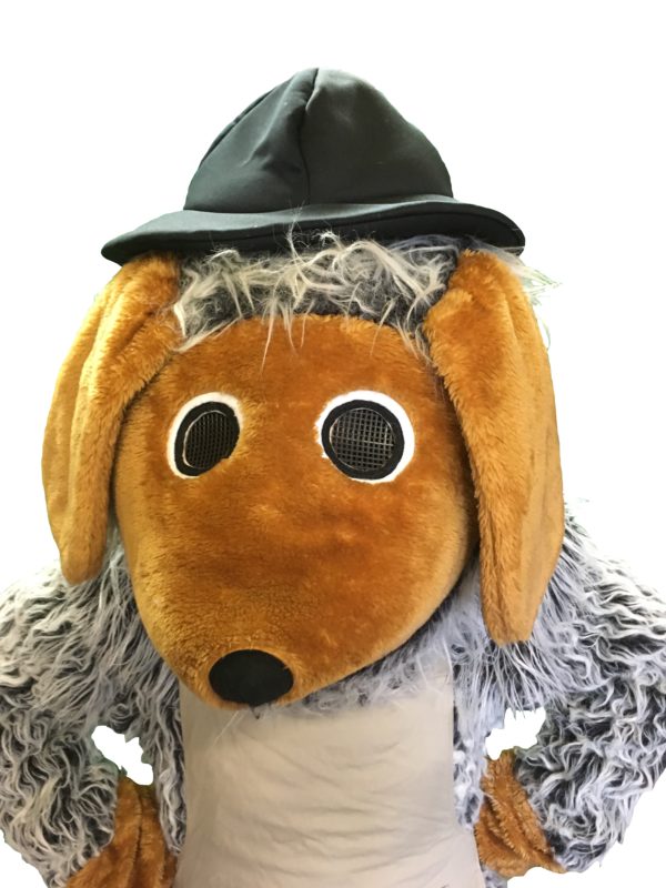 Toby Mory Costume, Wandering Litter Collectors Fancy Dress