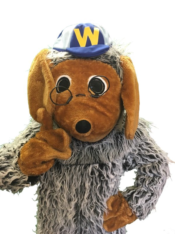 Wimbledon Costume Wallington Litter Collector Fancy Dress