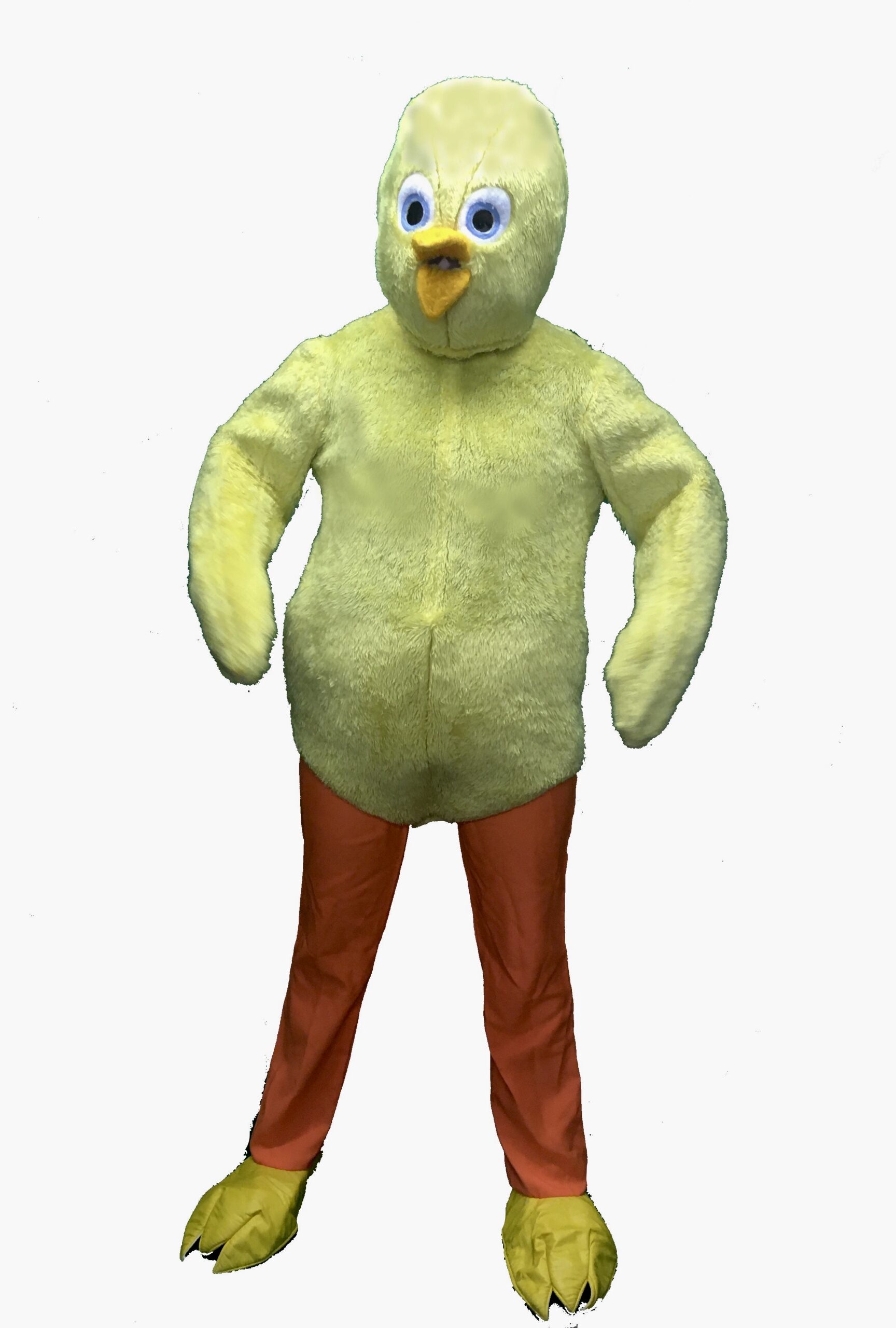 Hire Easter Fancy Dress Costumes Online | Mad Hatter Fancy Dress