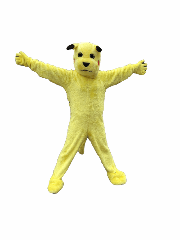 Pikachu Costume Pokémon Fancy Dress Cartoon